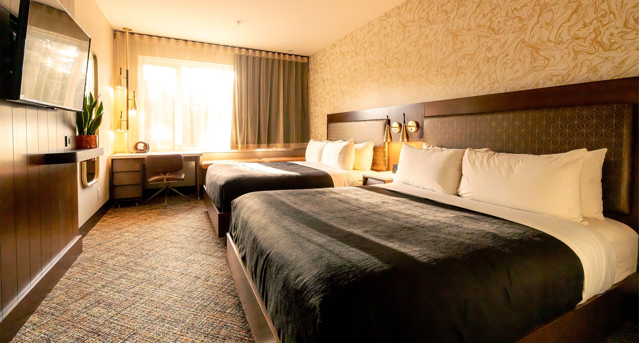 Rooms - Hotel Zed